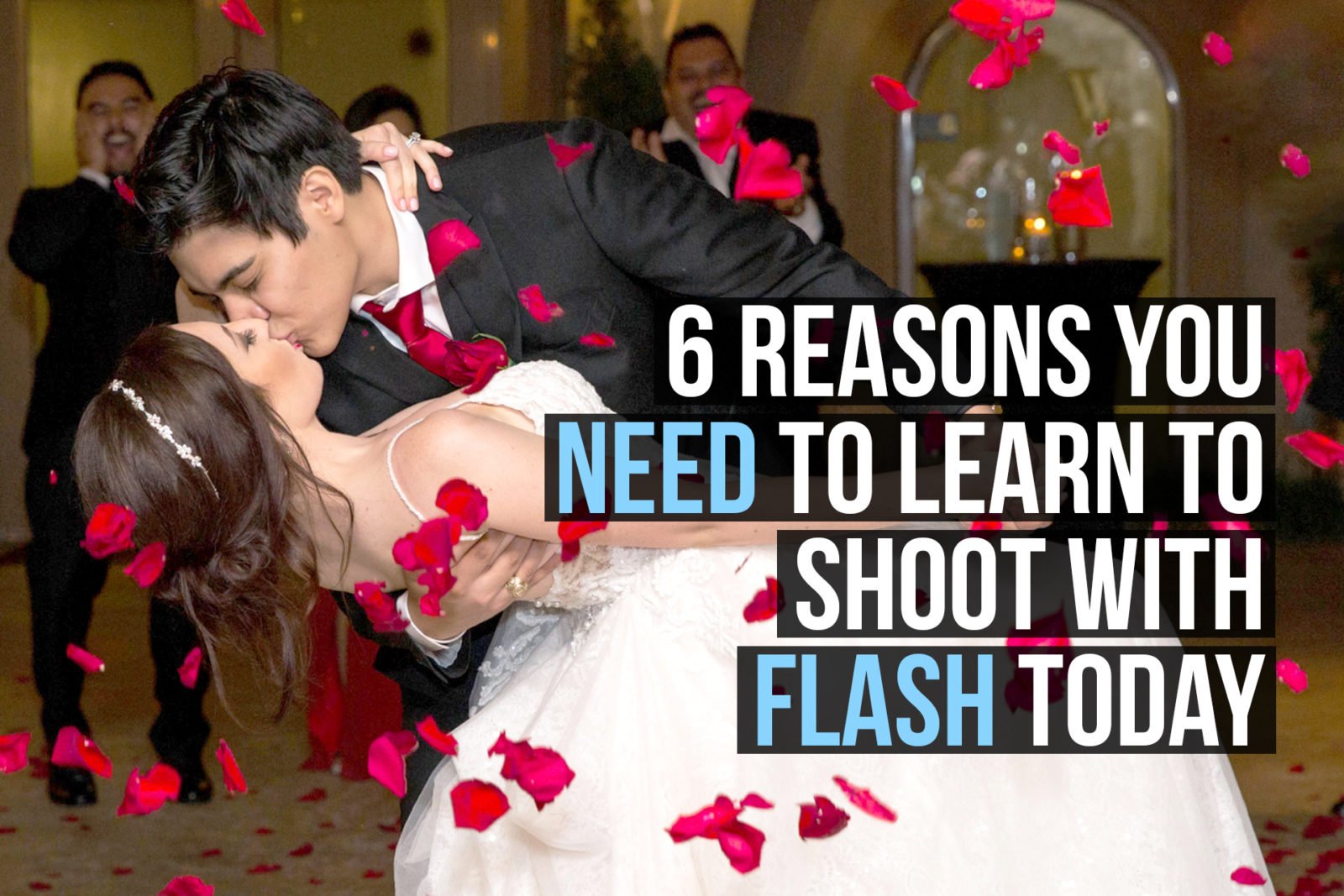 6 Reasons You Need to Learn Flash TODAY - Square 8 Studio Blog